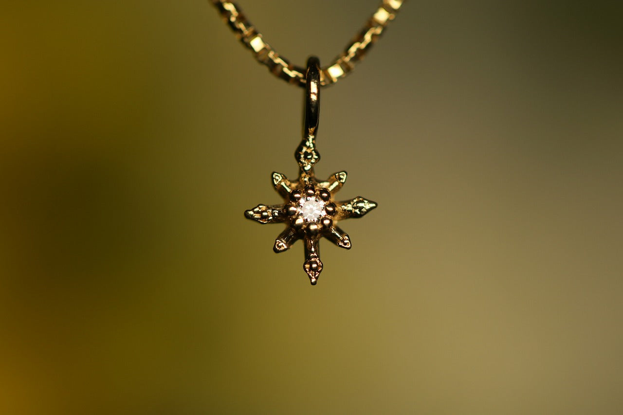 Stella invernale – quarantotto